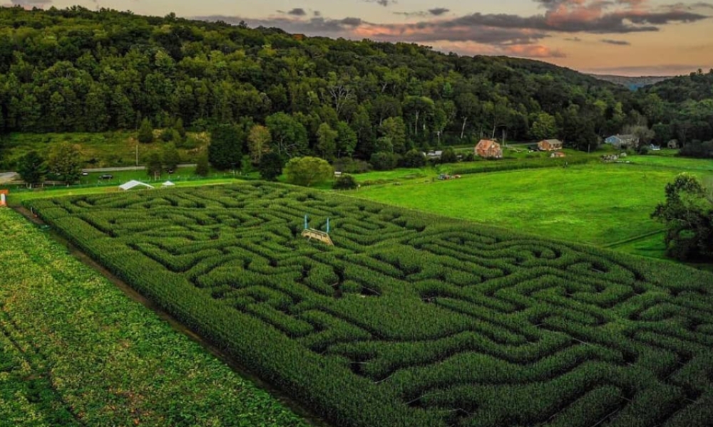 10 Amazing Corn Mazes in Connecticut | CTvisit